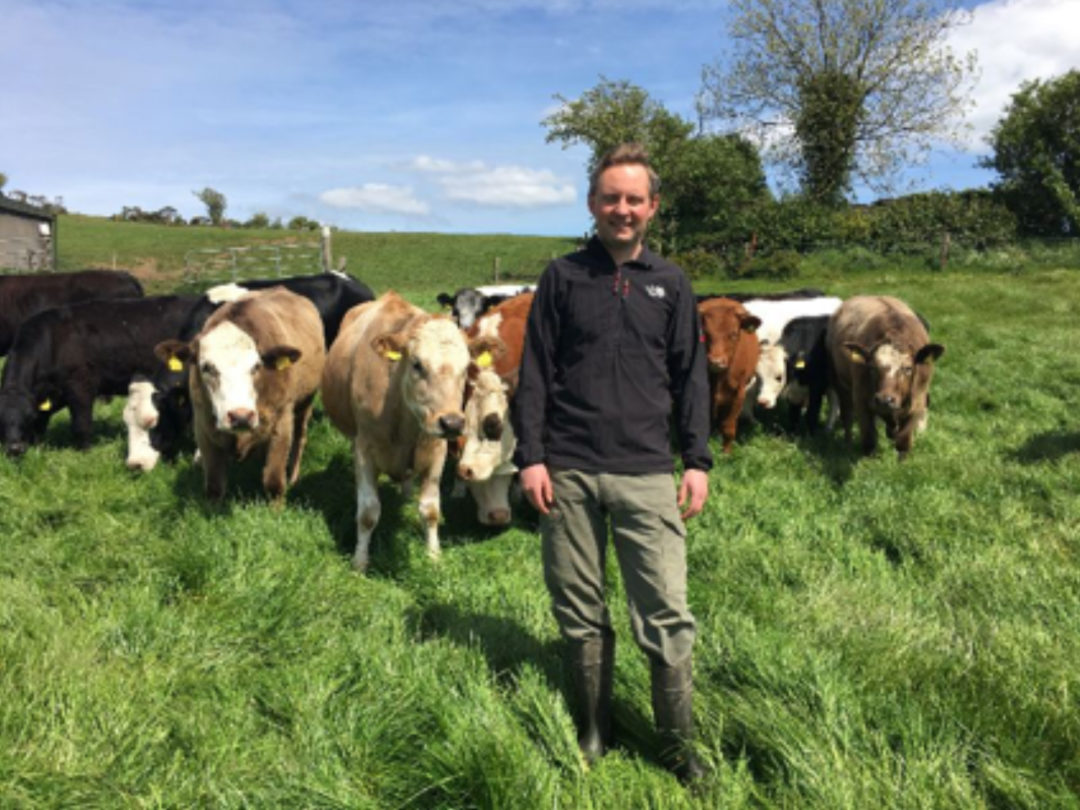 O’Dwyer Butchers | The Irish Butchers' Guild